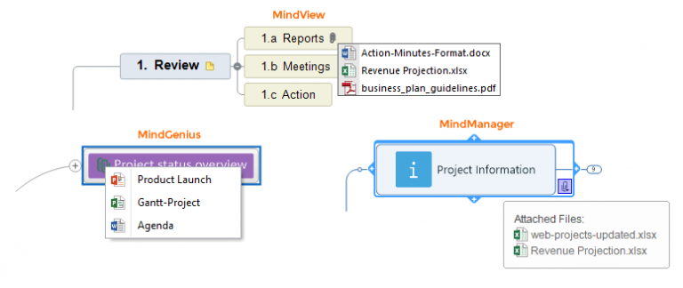 Mind Mapping Software Review | MatchWare.com